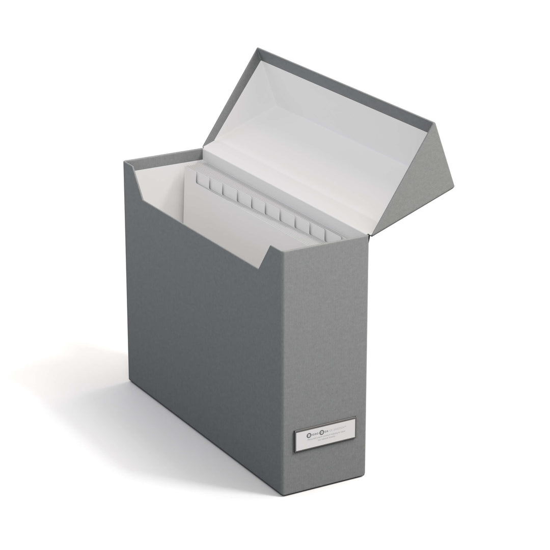 Filing Box With 12 Dividers- Lovisa – Not A Boring Box
