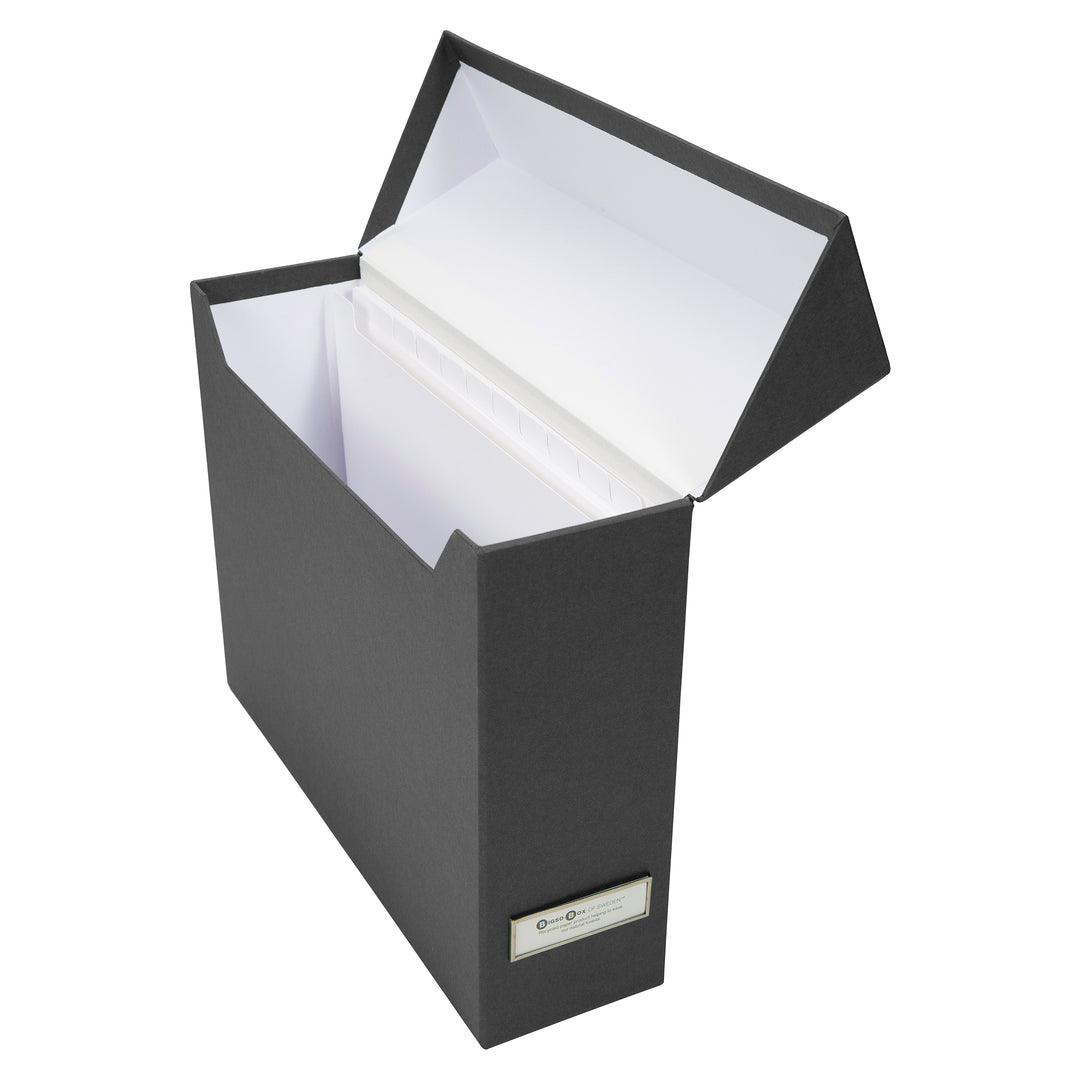 Filing Box With 12 Dividers- Lovisa – Not A Boring Box