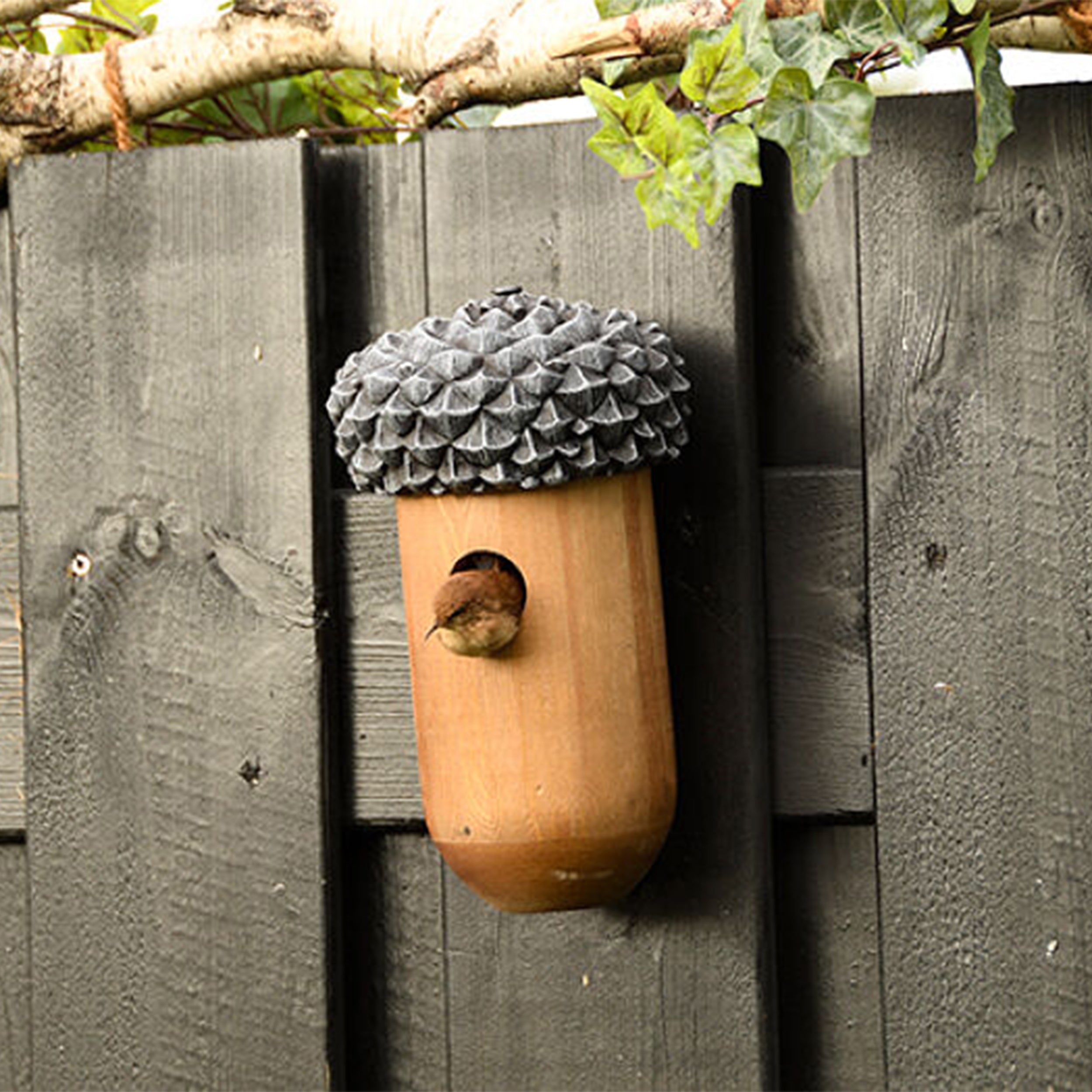 Acorn Bird House Wren – Not A Boring Box